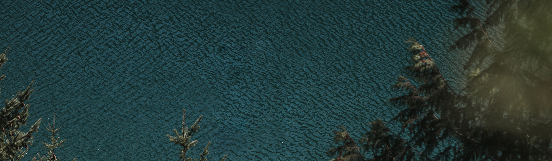 Special Lures | VMC hooks